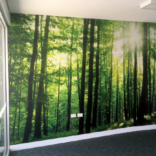 Wall Graphics and Custom Prints Services in Brisbane, QLD
